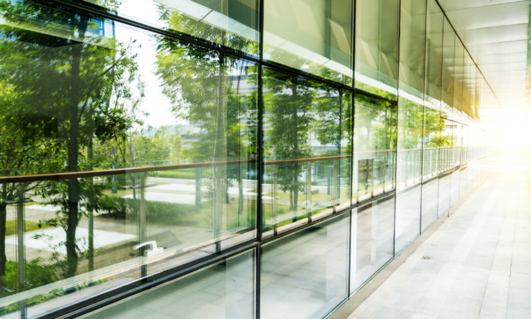 Why natural light is so important for productive work | Altitude Glass